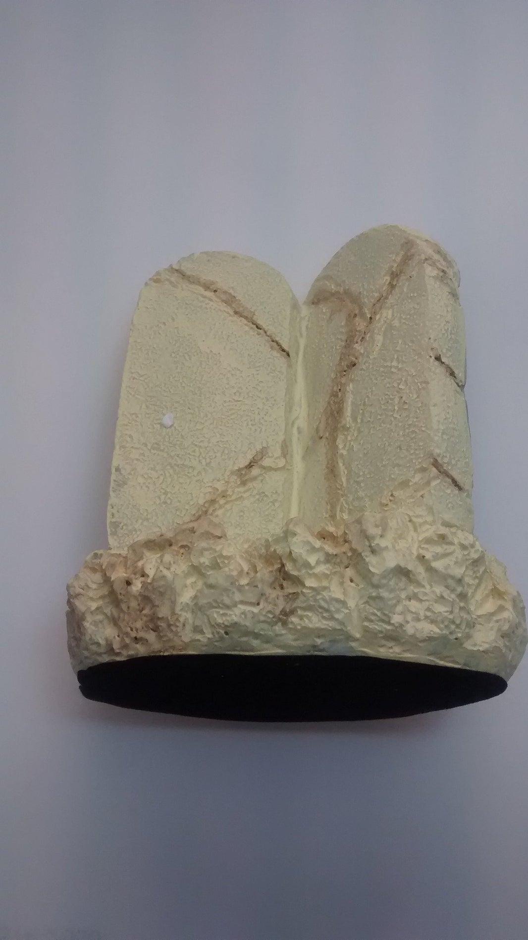 Products – Rock of Israel Store